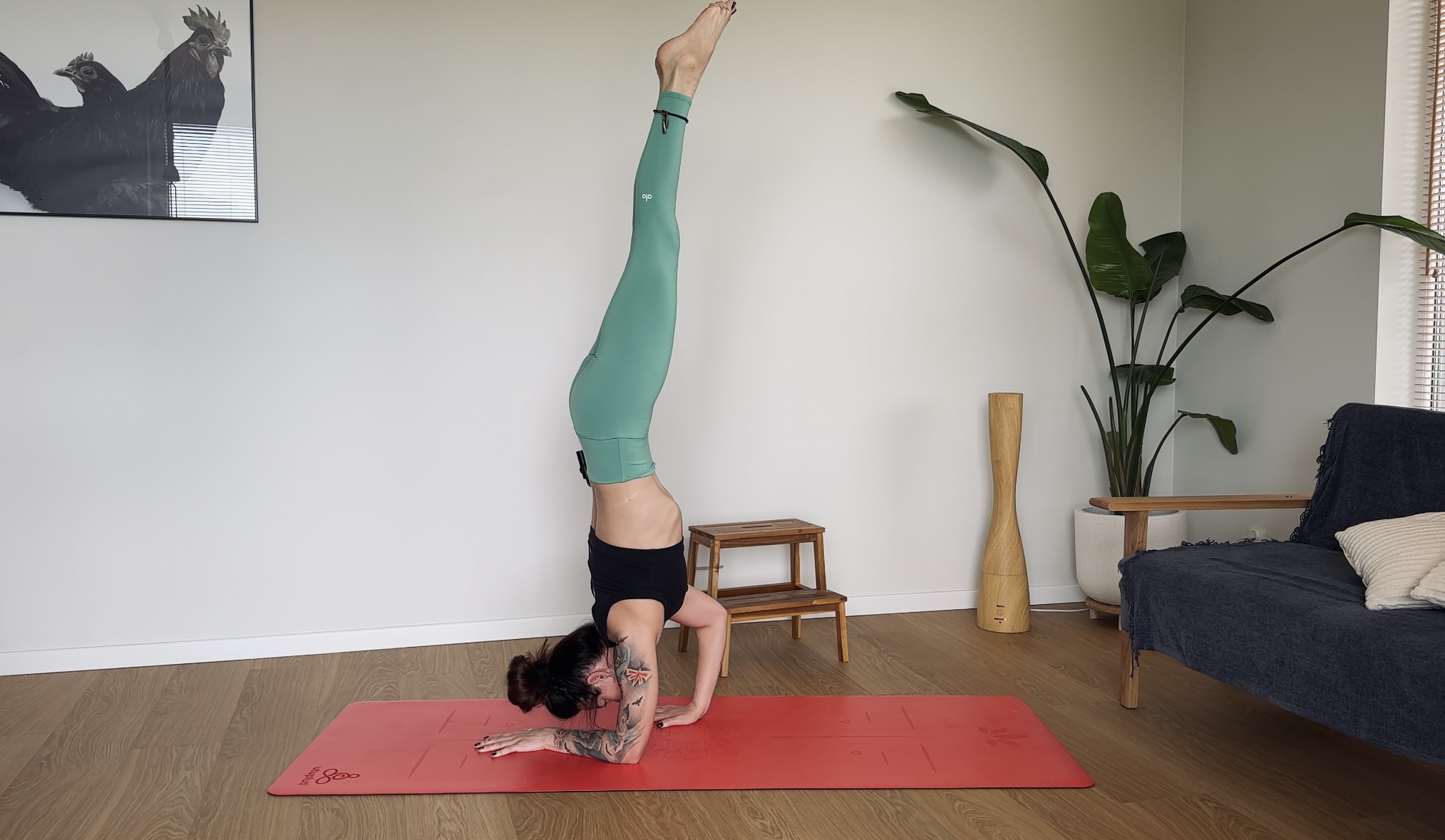 Poznajmy się! - Daga Joga